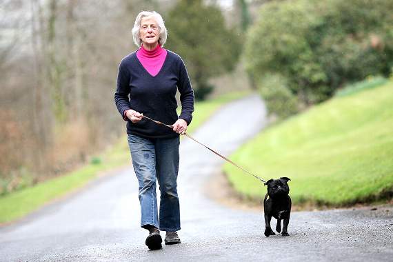 Pet pug Jack's the best medicine as hospital visitor | brecon-radnor.co.uk